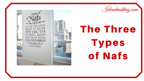The 3 types of Nafs People have . - Islam Hashtag