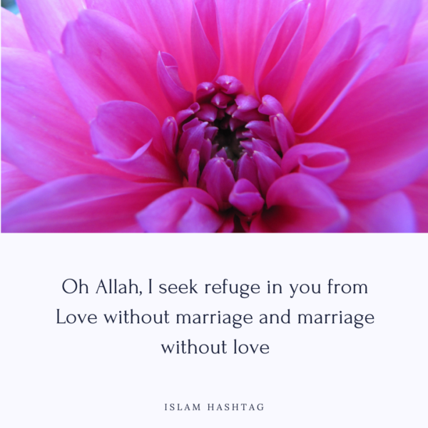 70 Love And Marriage Quotes For Muslim Couples - Islam Hashtag