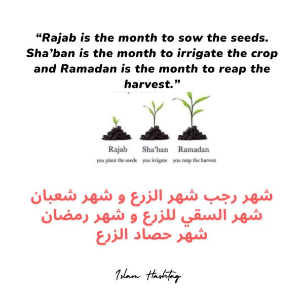 “Rajab Is The Month To Sow The Seeds. Sha’ban Is The Month To Irrigate ...