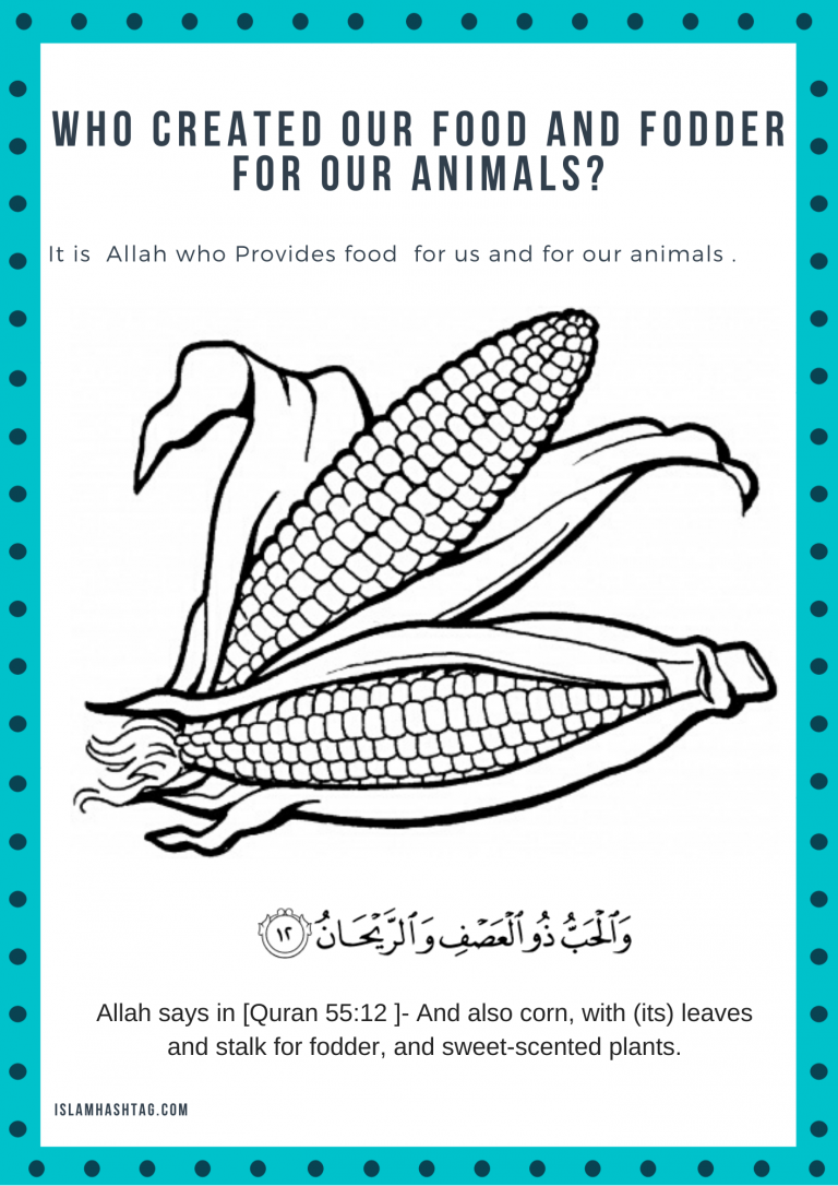 Quran Activity Worksheet - Islam Hashtag